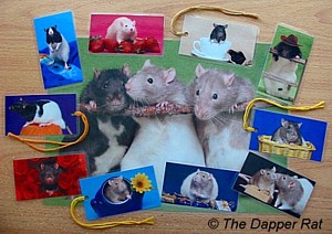 Robyn's Ramble Archive