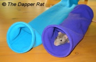 The Dapper Rat